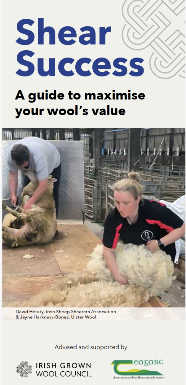 New guide to maximise wool delivered to almost 50,000 sheep farmers ...
